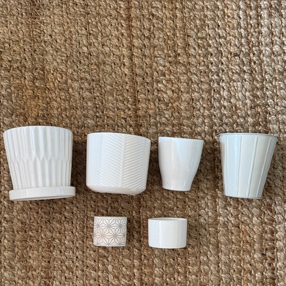 Target | Accents | Set Of White Ceramic Planters Cactus Succulent ...